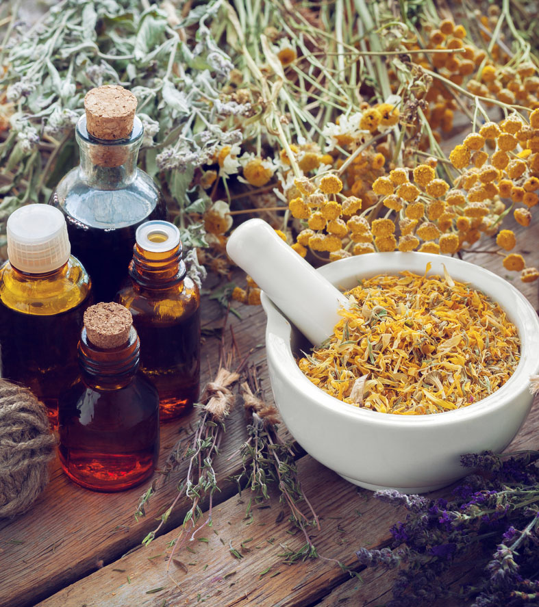 Home - The Source Wellness Center